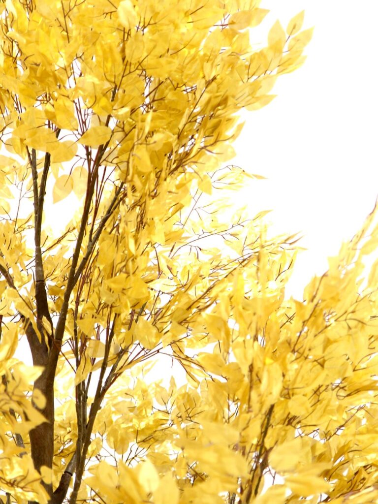 Tall Trunk Tree (3.2m) - Gold Leaf | EPH Creative - Event Prop Hire