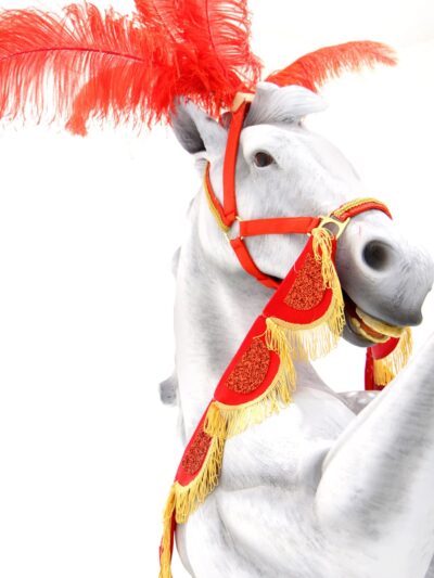 Rearing Circus Horse | EPH Creative - Event Prop Hire