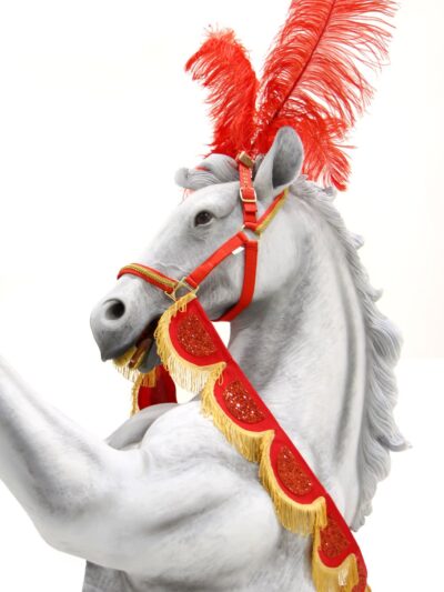 Rearing Circus Horse | EPH Creative - Event Prop Hire