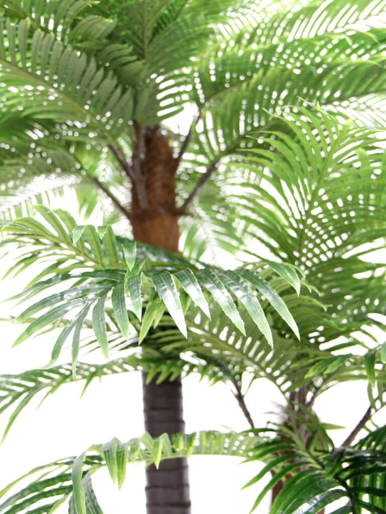 Triple Headed Palm Tree - Tall (3.2m) | EPH Creative - Event Prop Hire