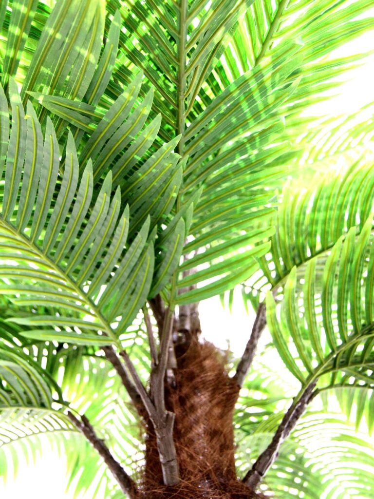 Triple Headed Palm Tree - Tall (3.2m) | EPH Creative - Event Prop Hire