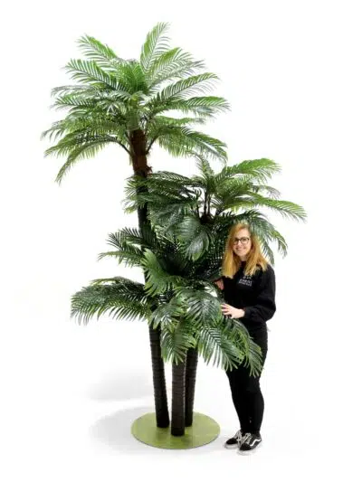 Palm Trees Hire | Event Props | EPH Creative - Event Prop Hire