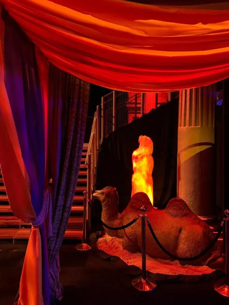 Life-size Sitting Camel | EPH Creative - Event Prop Hire