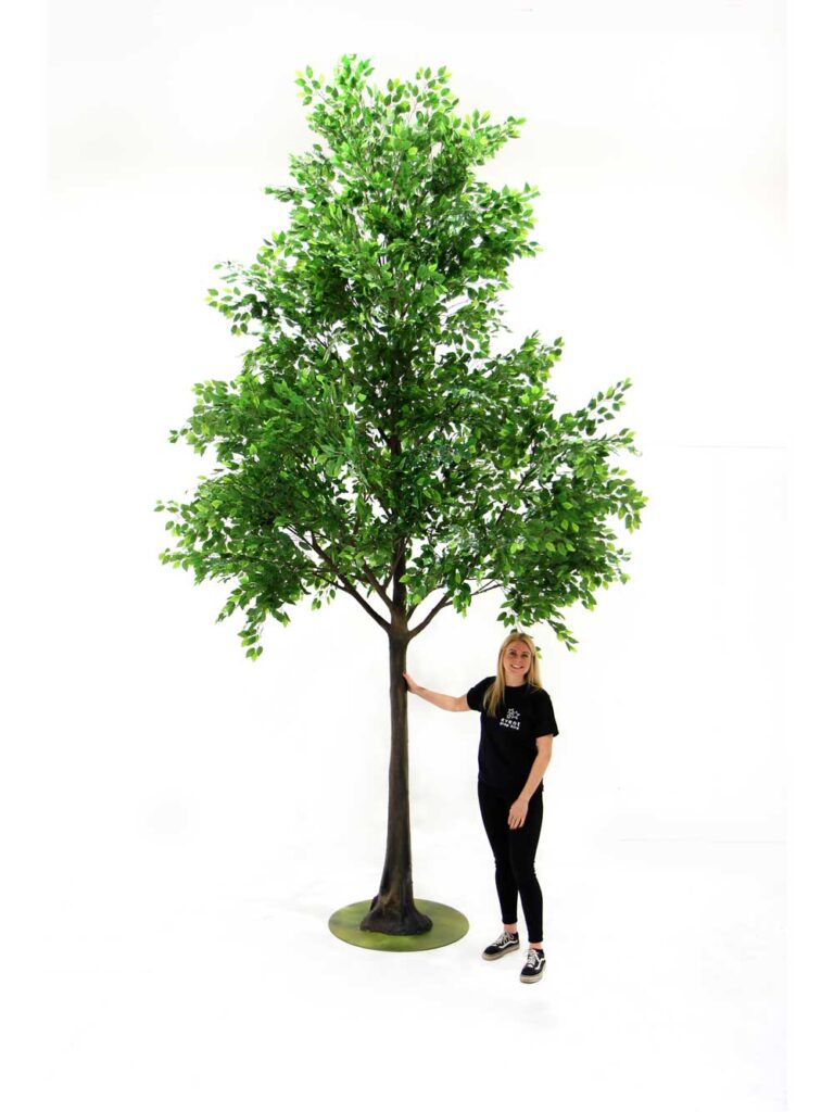 Giant Tree (5m) - Ficus | EPH Creative - Event Prop Hire