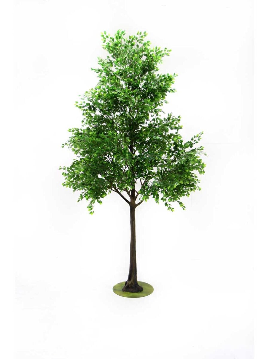 Giant Tree (5m) - Ficus | EPH Creative - Event Prop Hire
