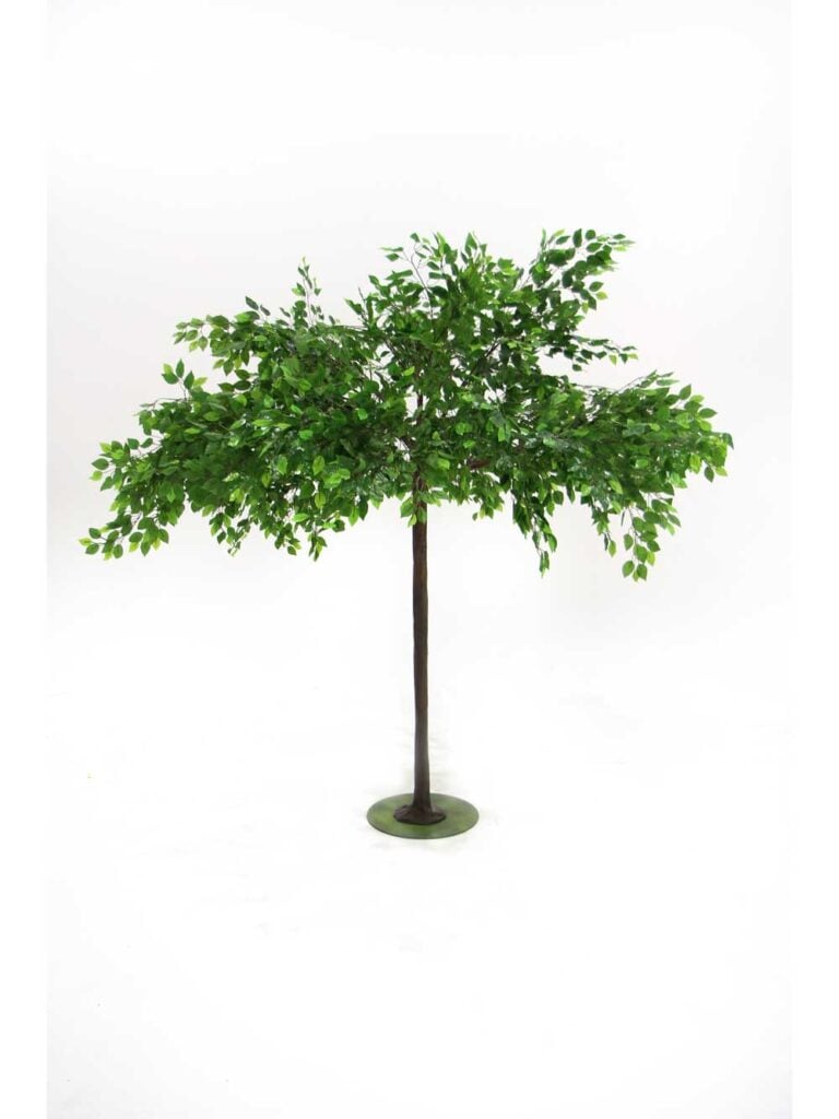 Umbrella Table Top Tree - Ficus | EPH Creative - Event Prop Hire