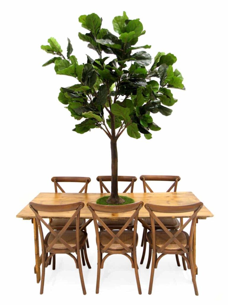 Table Top Tree (1.8m) - Fig | EPH Creative - Event Prop Hire