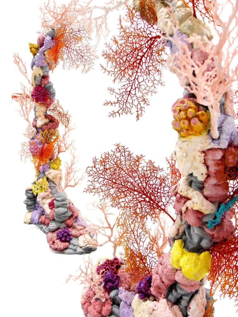 Coral Moon Gate | EPH Creative - Event Prop Hire