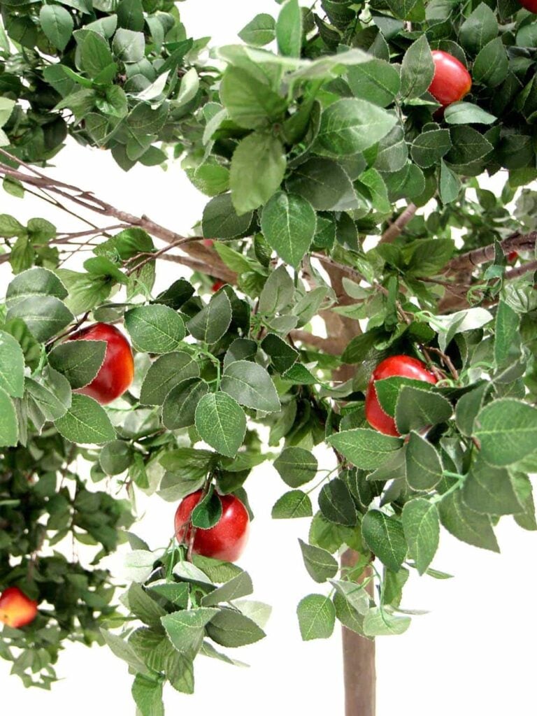 Umbrella Table Top Tree - Apple | EPH Creative - Event Prop Hire