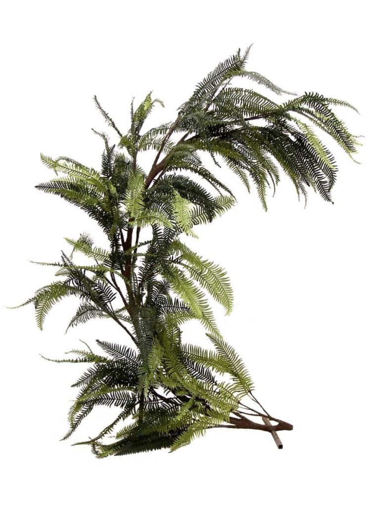 Half Moon Gate - Fern | EPH Creative - Event Prop Hire