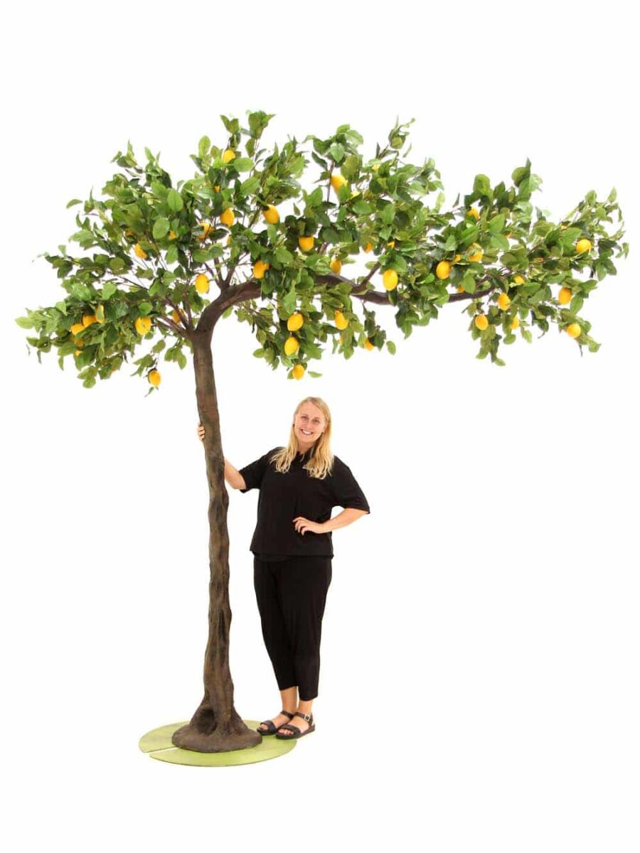 Canopy Tree (3m) - Lemon | EPH Creative - Event Prop Hire