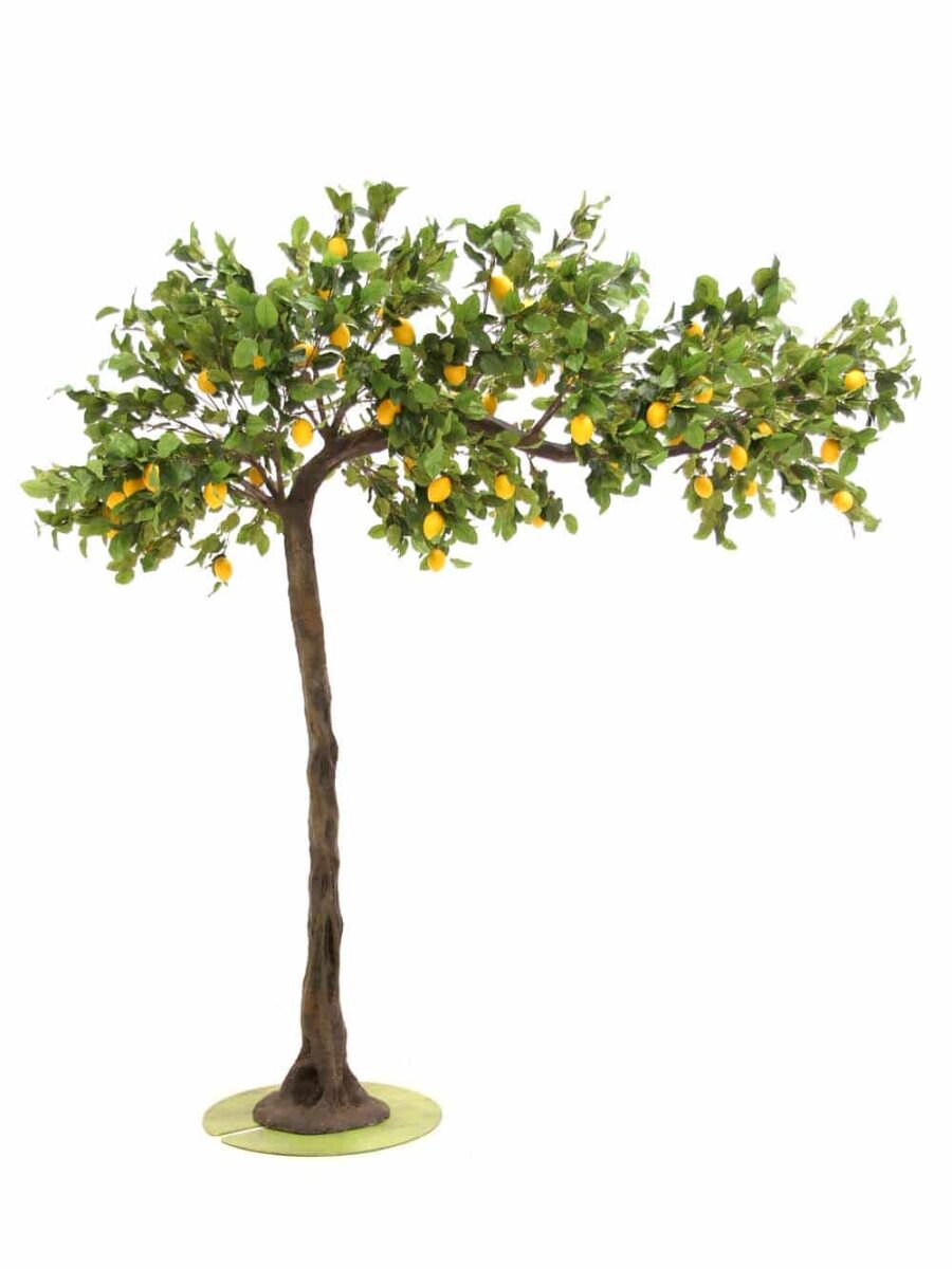Canopy Tree (3m) - Lemon | EPH Creative - Event Prop Hire