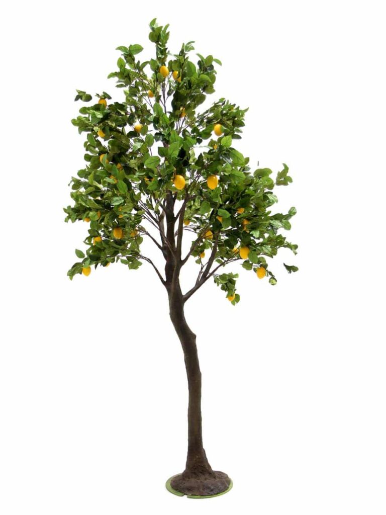 Tall Trunk Tree (3.5m) - Lemon | EPH Creative - Event Prop Hire