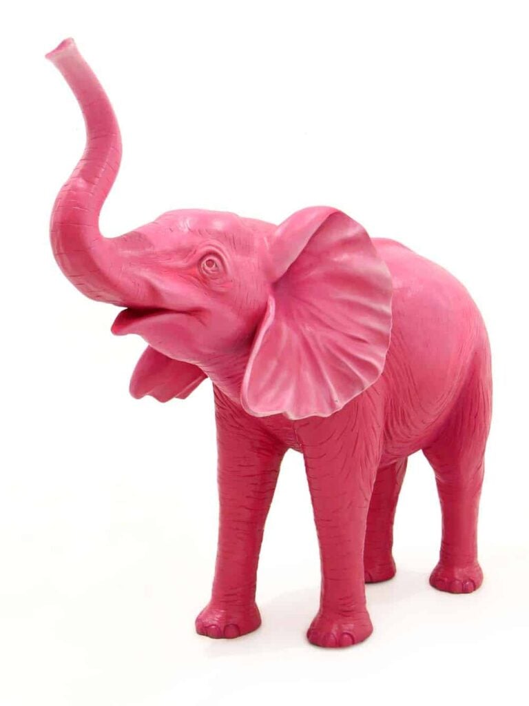 Funky Elephant Pink | EPH Creative - Event Prop Hire
