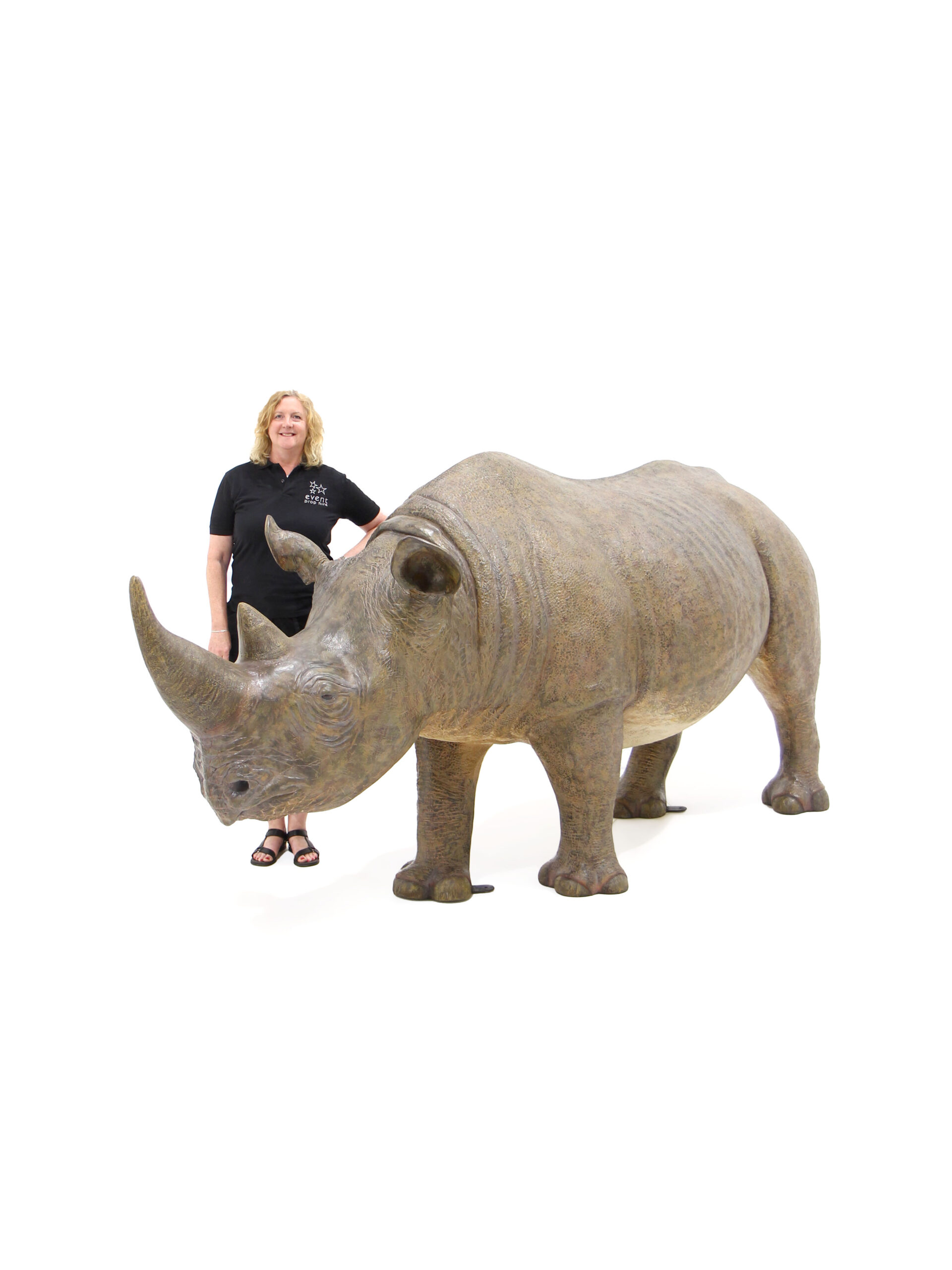 Life-size Rhino | EPH Creative - Event Prop Hire