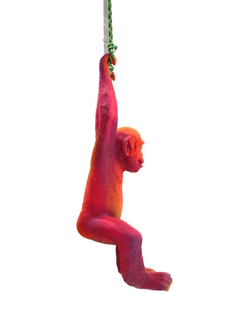 Funky Hanging Chimp | EPH Creative - Event Prop Hire