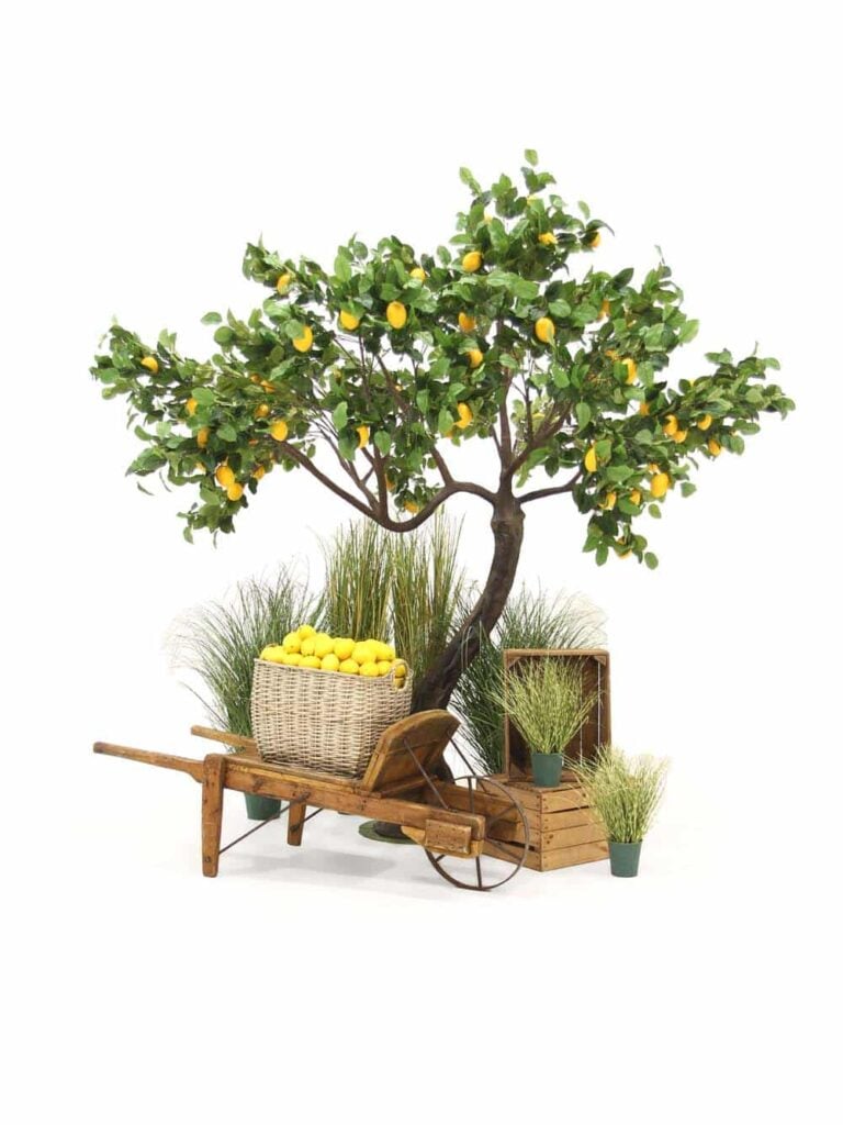 Lemon Tree & Rustic Cart Montage | EPH Creative - Event Prop Hire