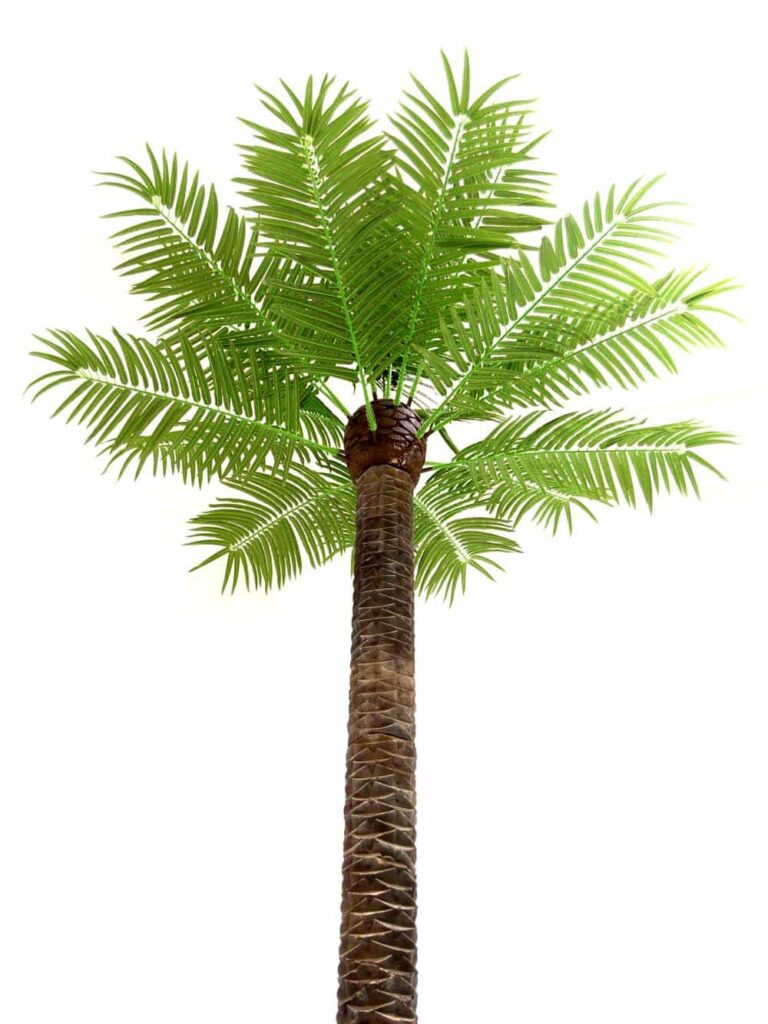 Palm Trees Hire | Event Props | EPH Creative - Event Prop Hire
