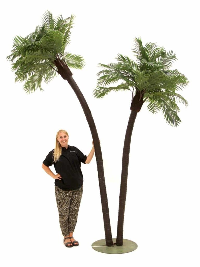 Palm Trees Hire | Event Props | EPH Creative - Event Prop Hire