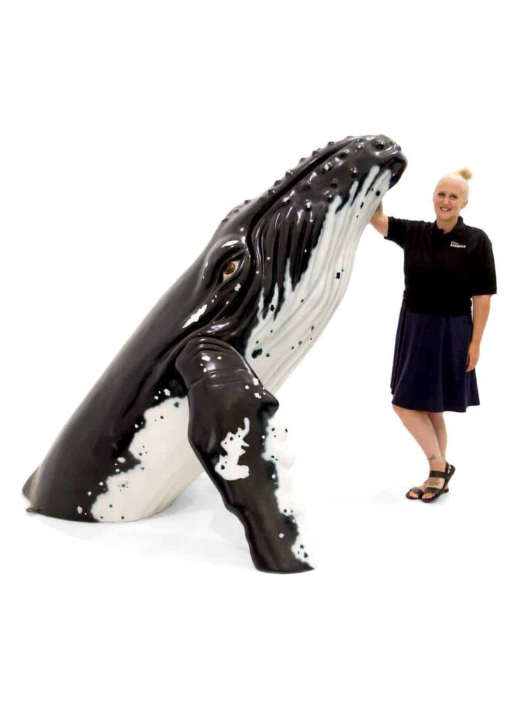 Breaching Humpback Whale Prop | EPH Creative - Event Prop Hire