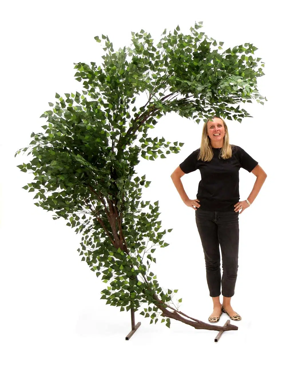 Half Moon Gate - Brown Birch | EPH Creative - Event Prop Hire