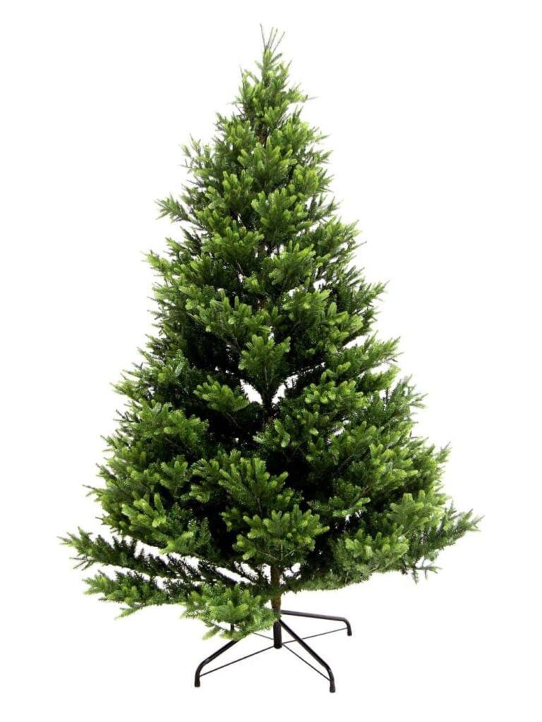 Fir Tree - Jumbo (300cm) | EPH Creative - Event Prop Hire