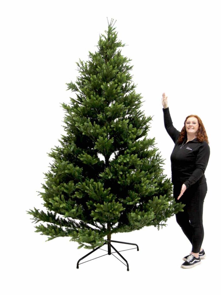 Fir Tree - Jumbo (300cm) | EPH Creative - Event Prop Hire