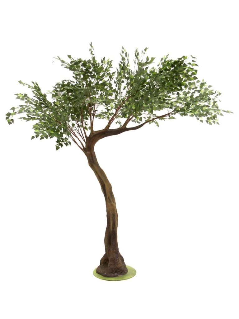 Short Canopy Tree (2.2m) - Brown Birch | EPH Creative - Event Prop Hire