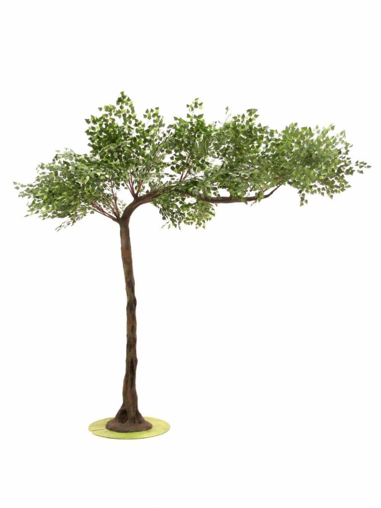 Canopy Tree (3m) - Brown Birch | EPH Creative - Event Prop Hire