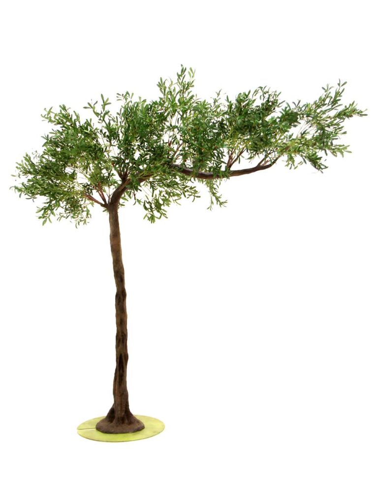 Canopy Tree (3m) - Olive | EPH Creative - Event Prop Hire