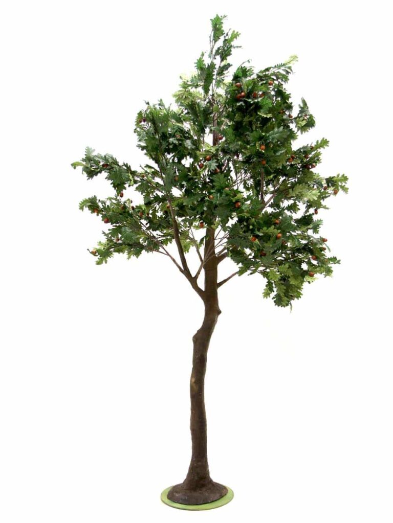 Tall Trunk Tree (3.5m) - Green Oak | EPH Creative - Event Prop Hire