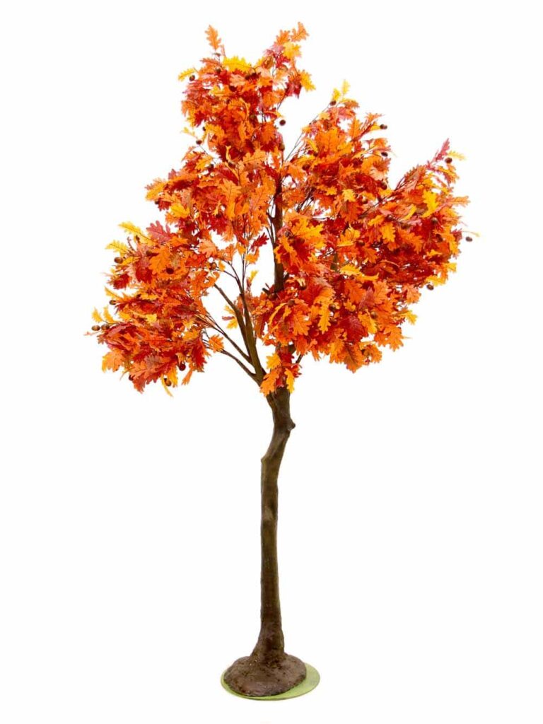 Tall Trunk Tree (3.5m) - Autumn Oak | EPH Creative - Event Prop Hire