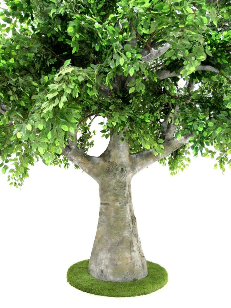 Giant Interchangeable Tree (4m) - Ficus - Smooth Bark | EPH Creative ...