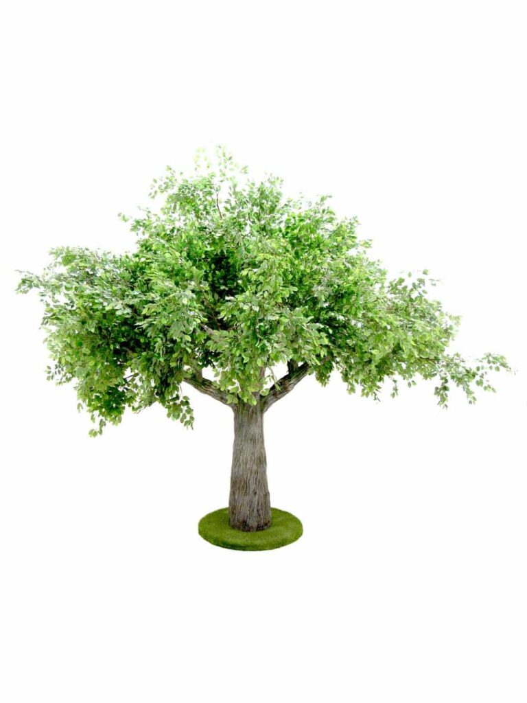 Giant Wide Tree (4.5m) - Ficus | EPH Creative - Event Prop Hire
