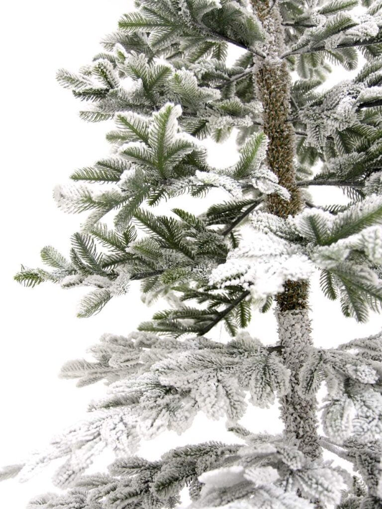 Snowy Alpine Fir Tree (360cm) | EPH Creative - Event Prop Hire