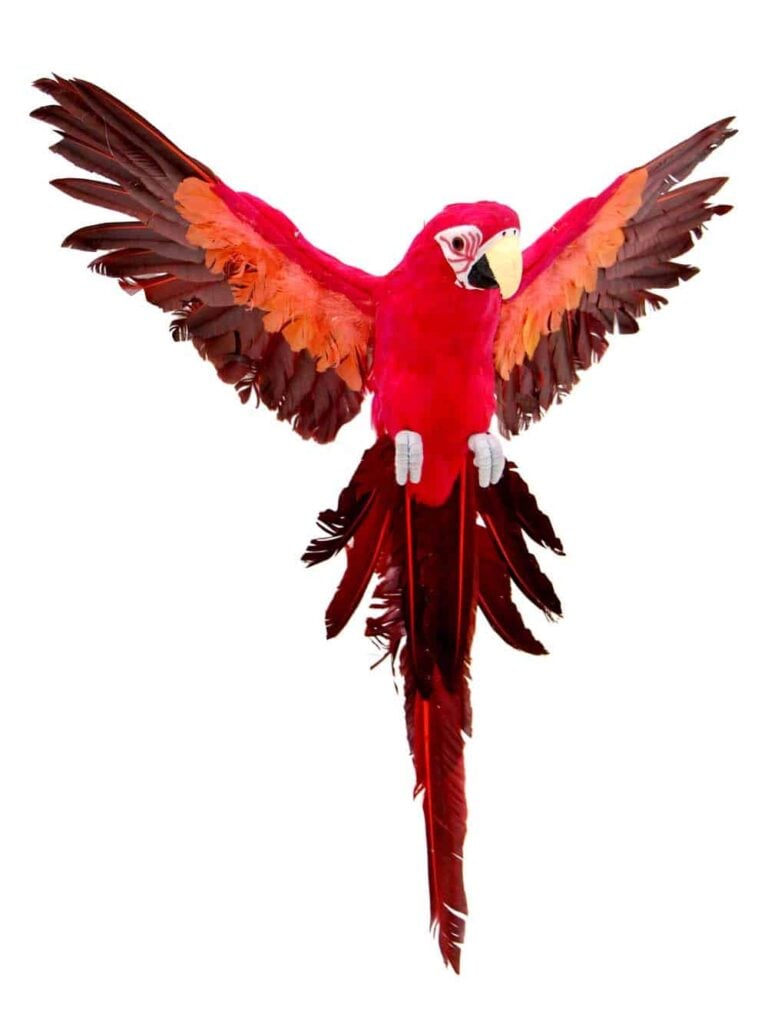 EPH Creative Homepage | EPH Creative - Event Prop Hire