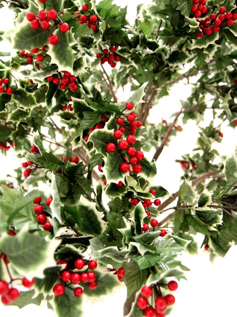 Medium Trunk Tree (2.5m) - Holly | EPH Creative - Event Prop Hire