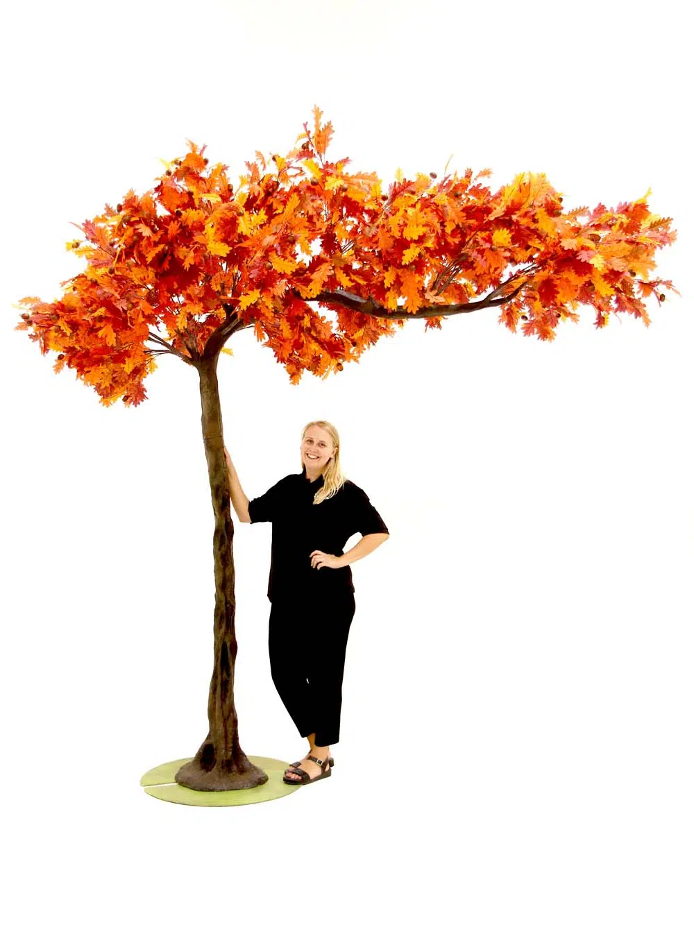 Canopy Tree (3m) - Autumn Oak | Event Prop Hire