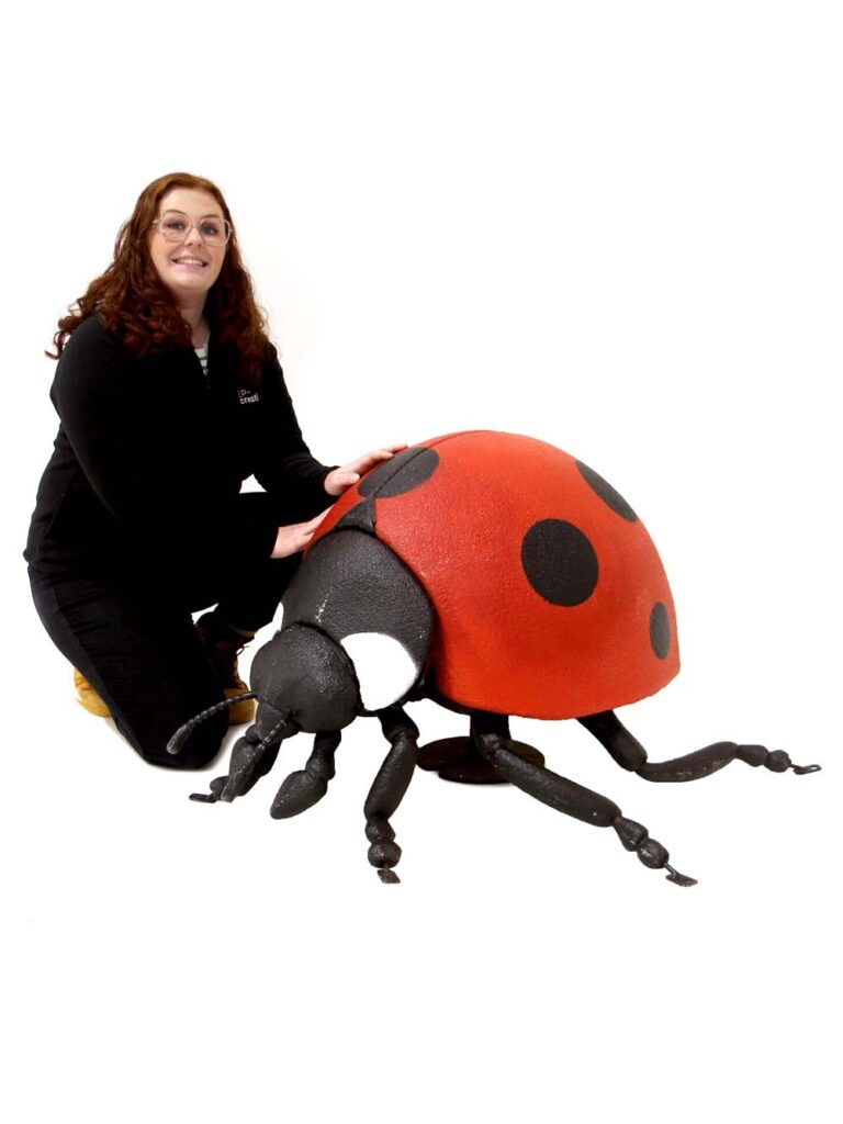 Giant Ladybird | EPH Creative - Event Prop Hire
