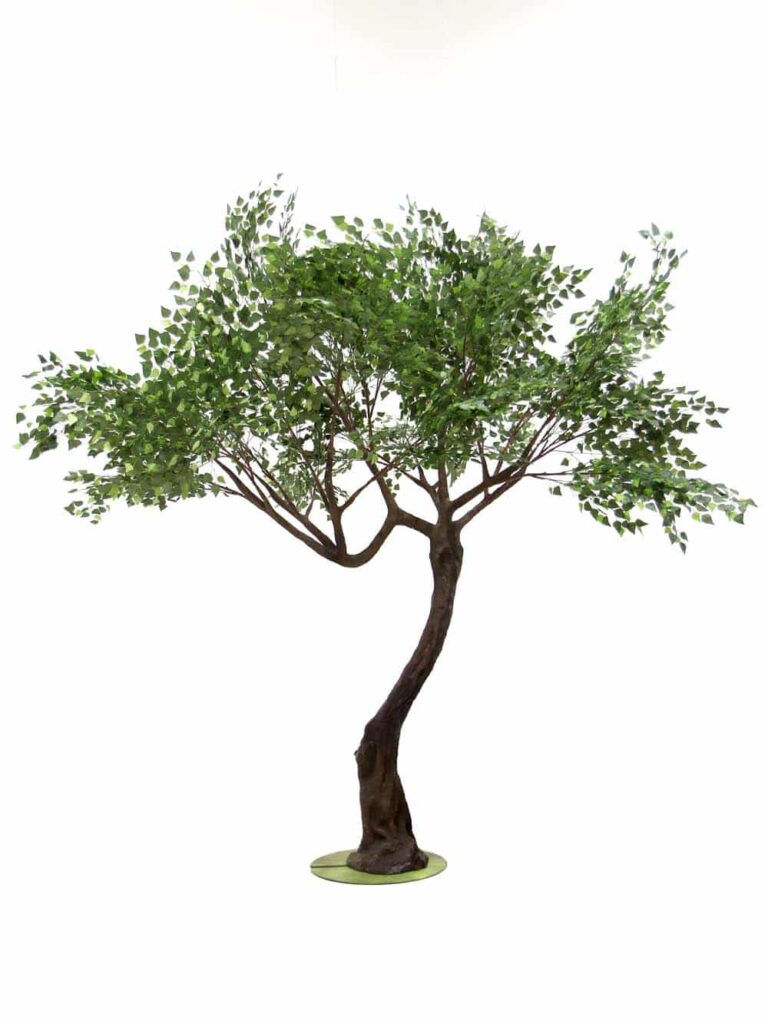 Twisted Trunk Tree (2.9m) - Brown Birch | EPH Creative - Event Prop Hire