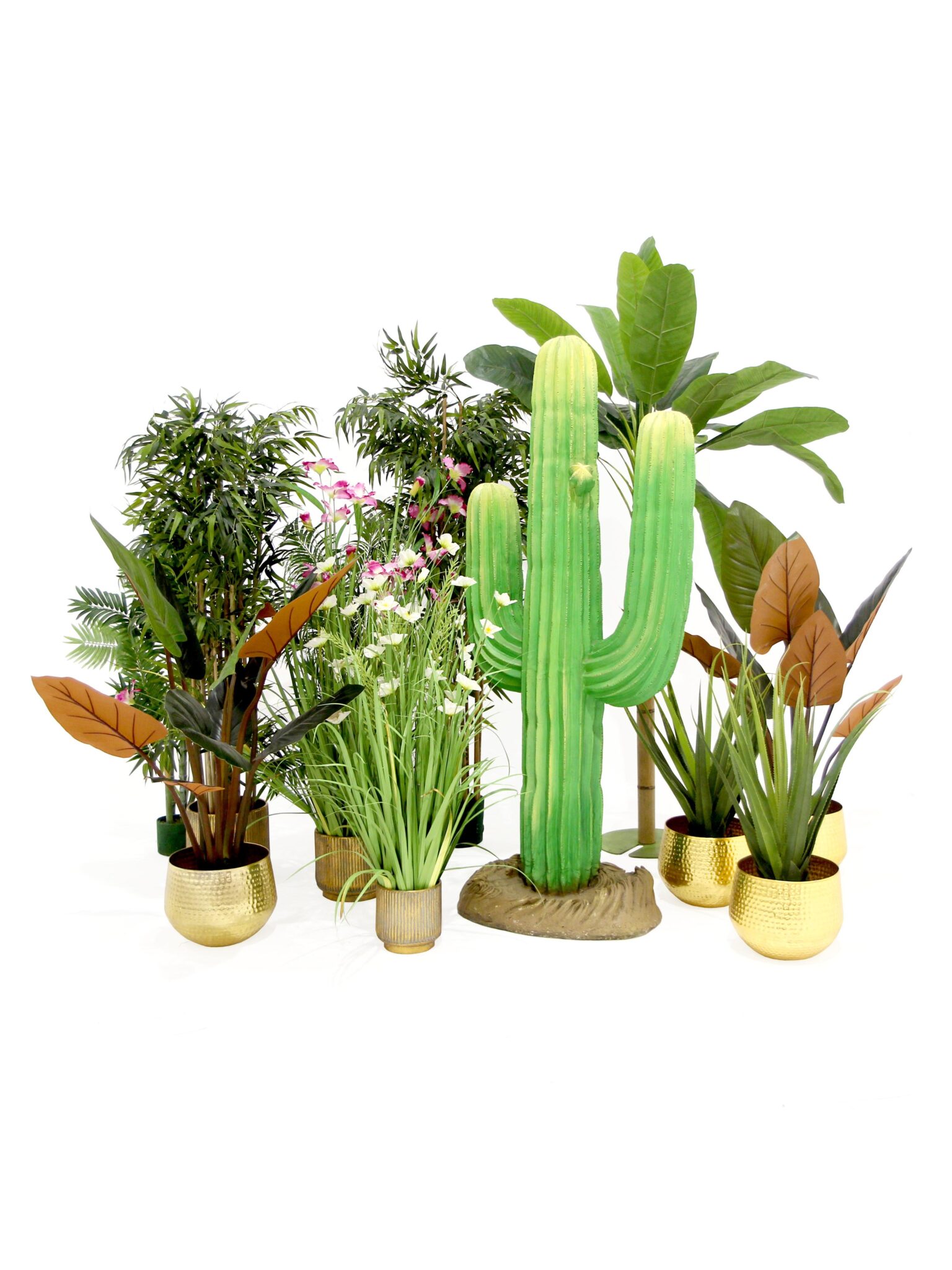 Foliage Package - Ibiza/Tropical Beach Club | EPH Creative - Event Prop ...