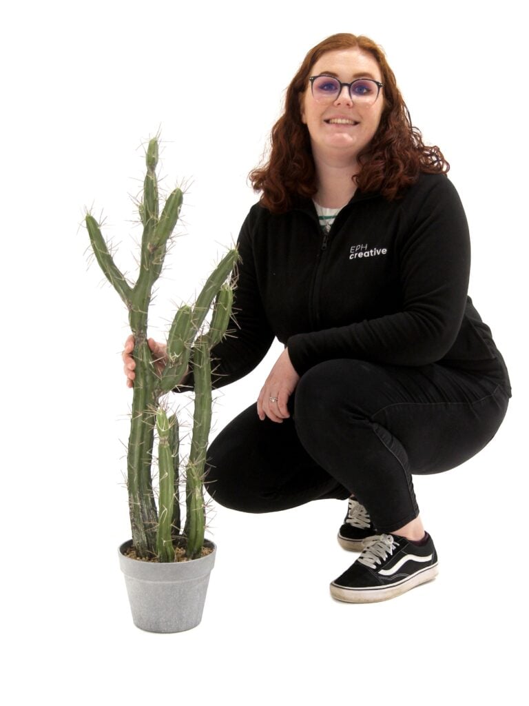 Cactus - Small | EPH Creative - Event Prop Hire