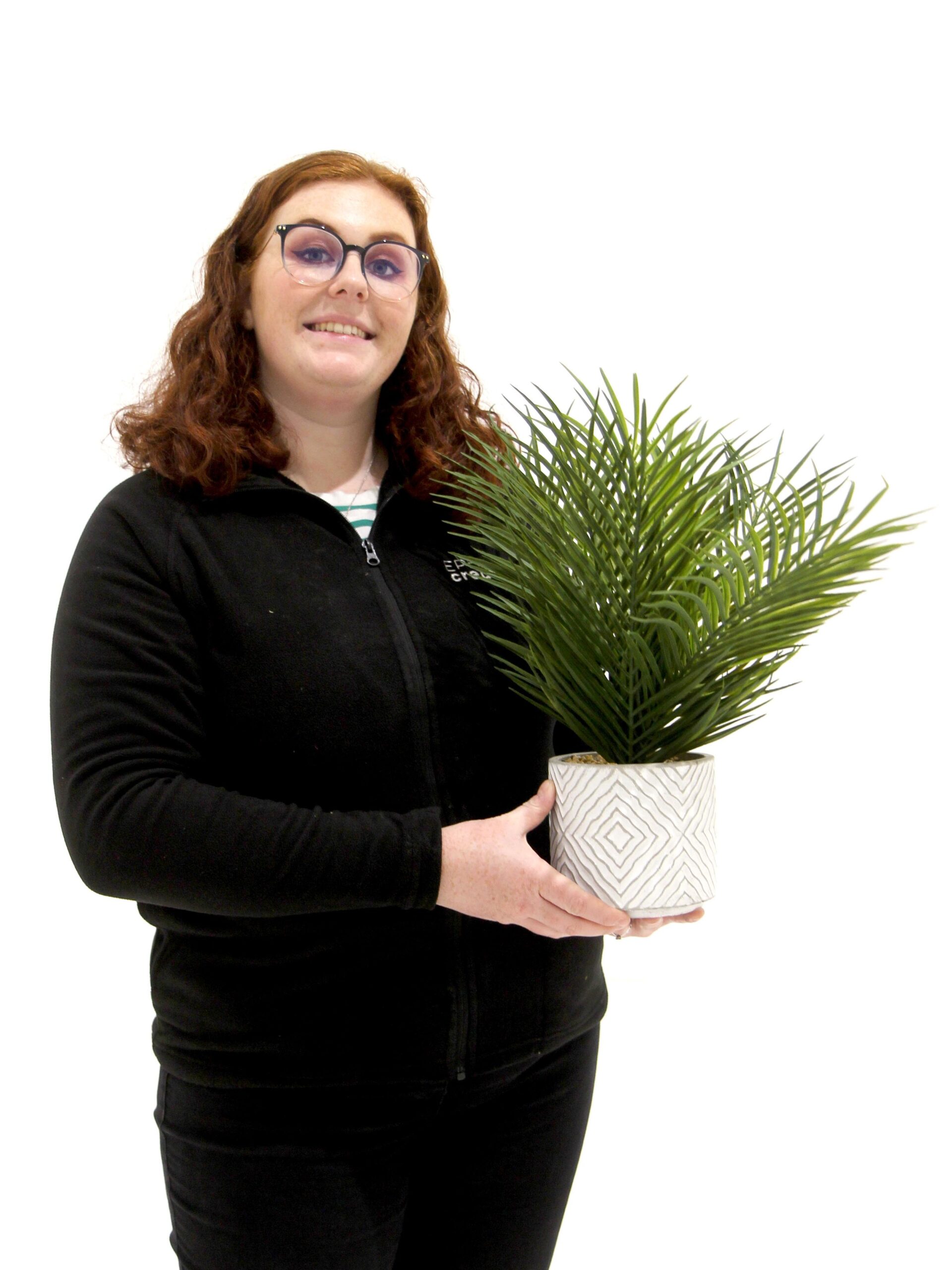 Fern in Pot | EPH Creative - Event Prop Hire