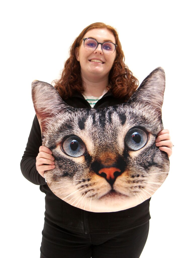 Cat Cushion | EPH Creative - Event Prop Hire