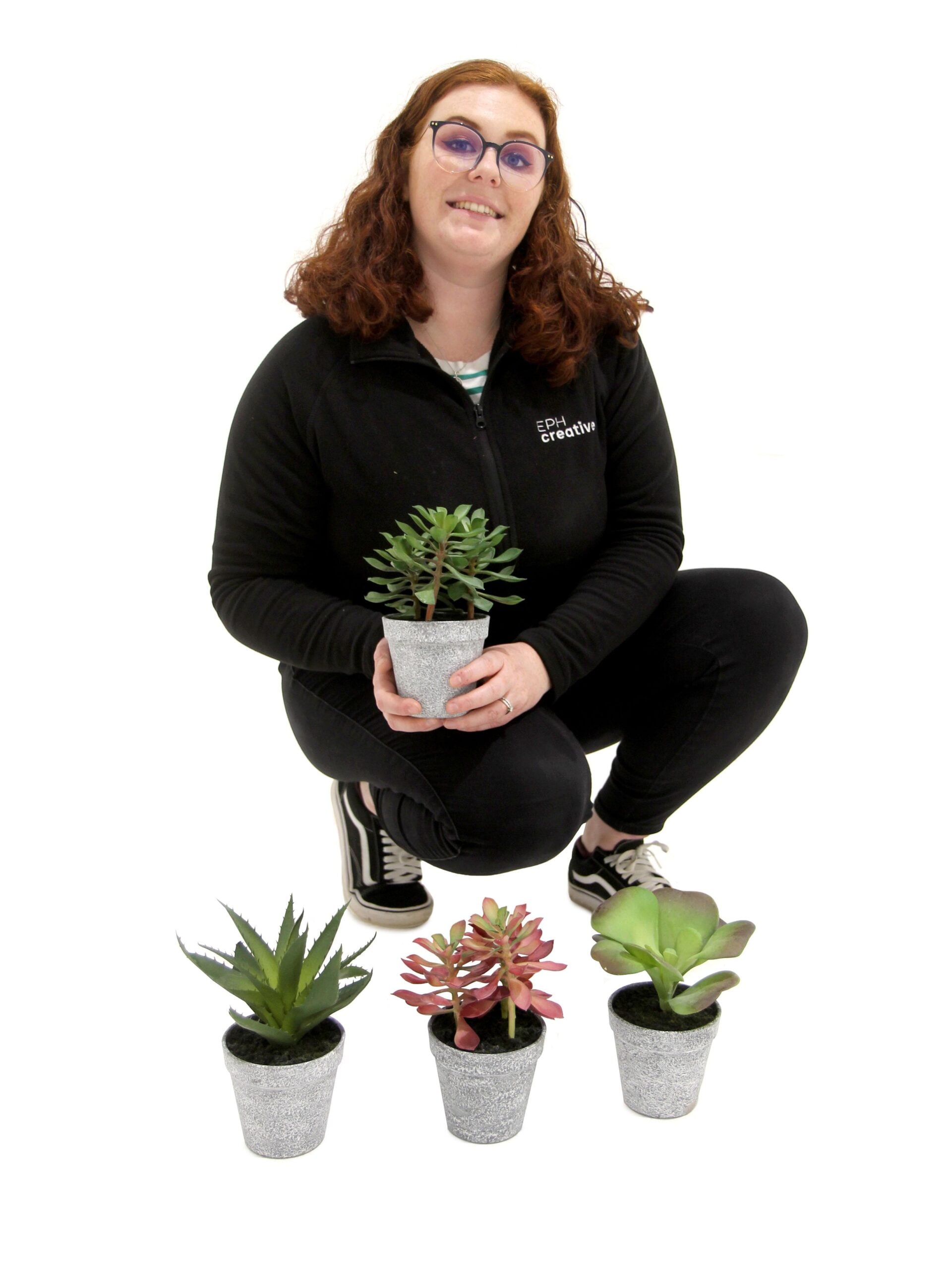 Succulent 20cm - Set of 4 (Style and Size May Vary) | EPH Creative ...