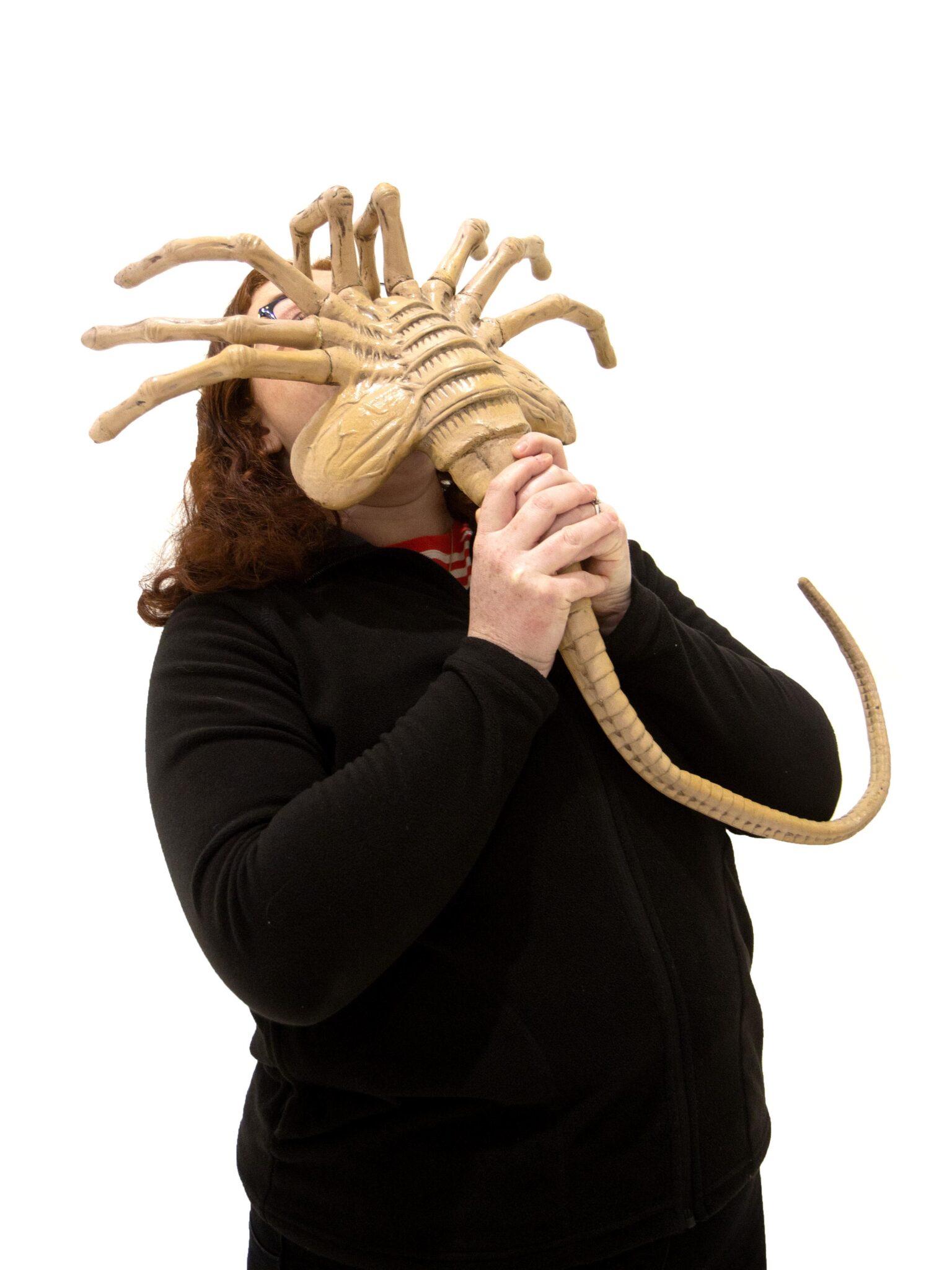 Facehugger Alien | EPH Creative - Event Prop Hire