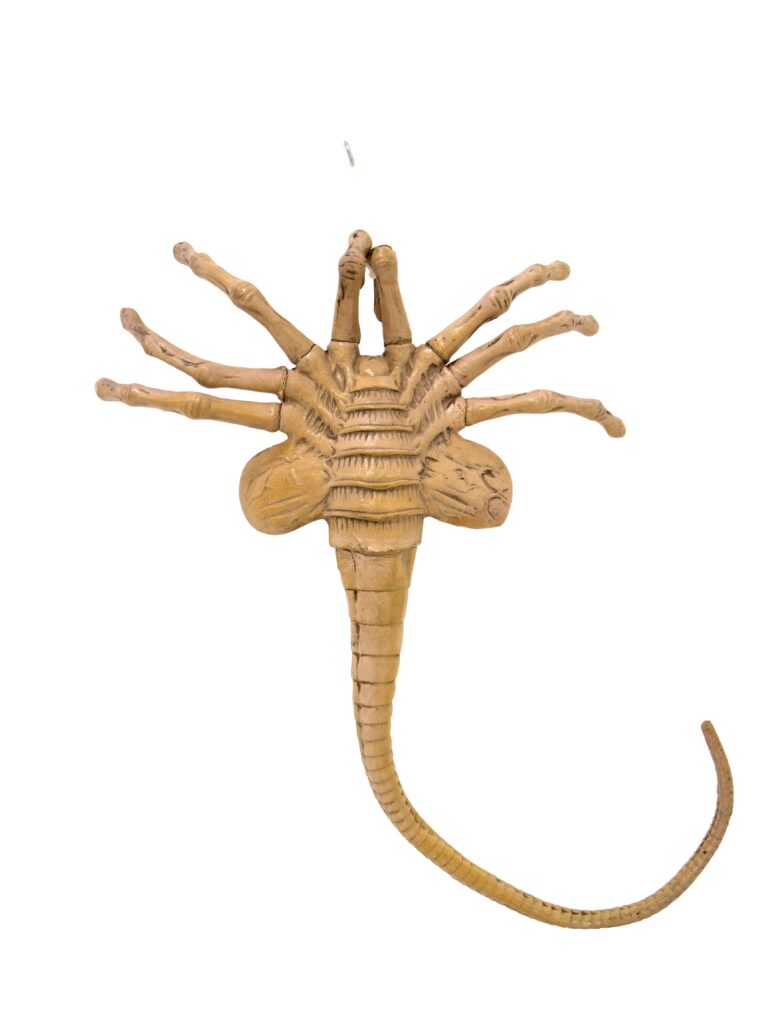 Facehugger Alien | EPH Creative - Event Prop Hire