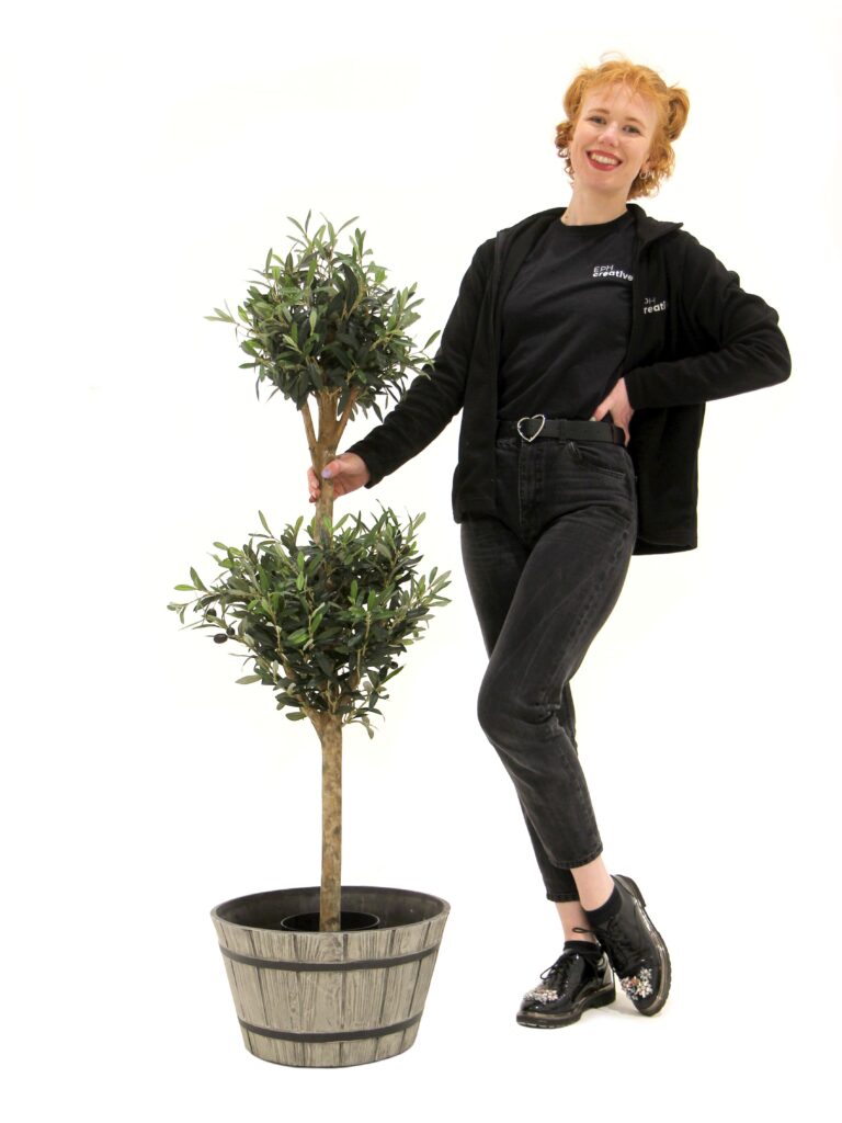 Olive Double Ball Tree - Medium | EPH Creative - Event Prop Hire