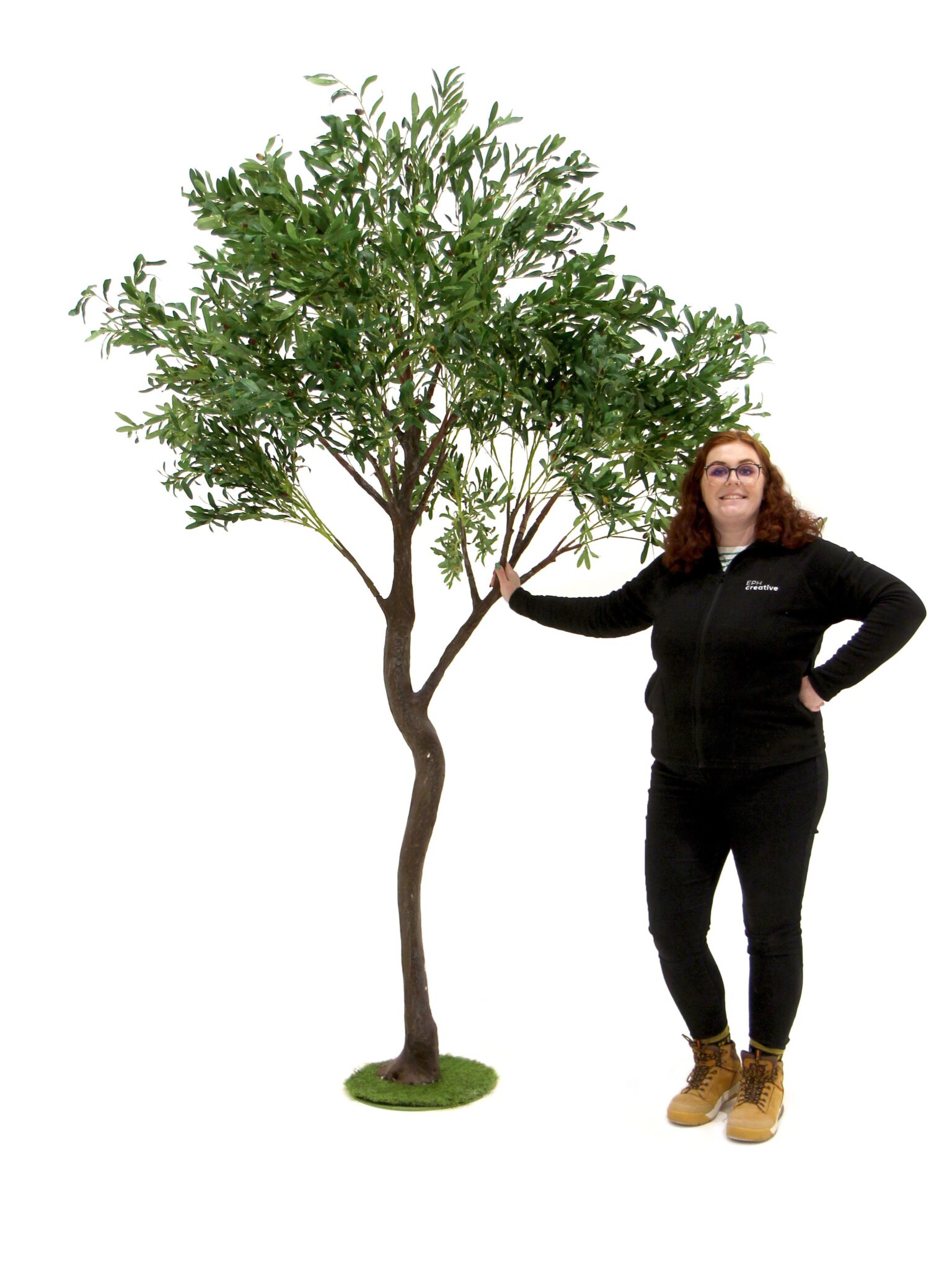 Y-Shaped Tree (2.7m) - Olive | EPH Creative - Event Prop Hire