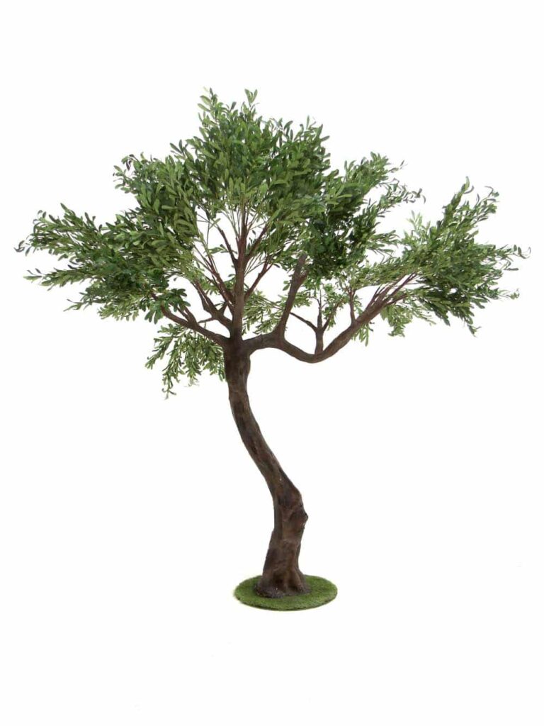 Twisted Trunk Tree (2.9m) - Ruscus | EPH Creative - Event Prop Hire